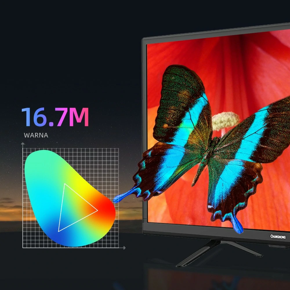 Changhong L24G5W 24 Inch LED HD – Dolby Audio, DVB-T2